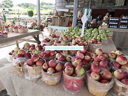 Farmstand Apple Premium Scented Aroma Beads – Cozy Leopard Boutique